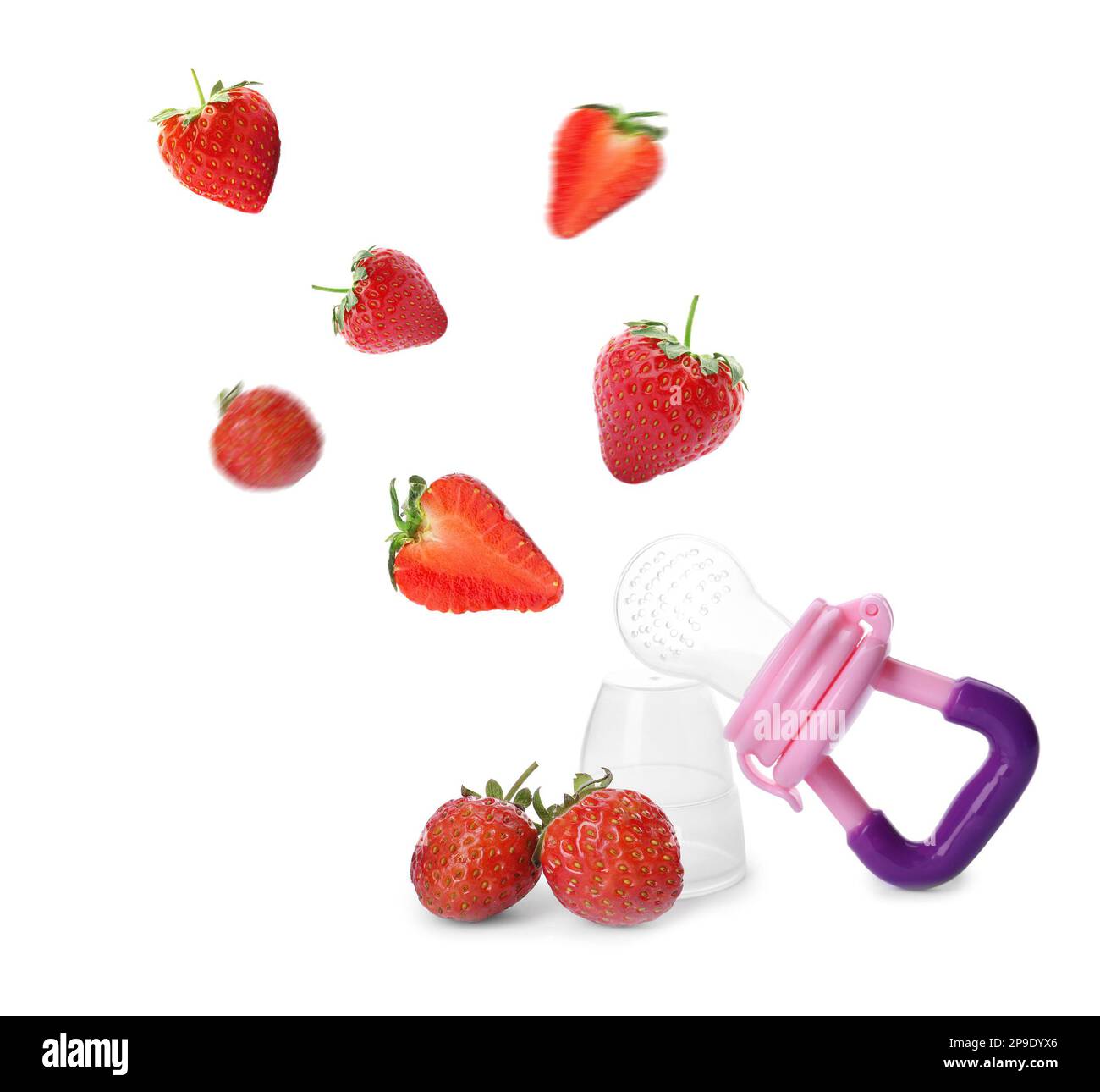 Empty nibbler and fresh ripe strawberries falling on white background ...