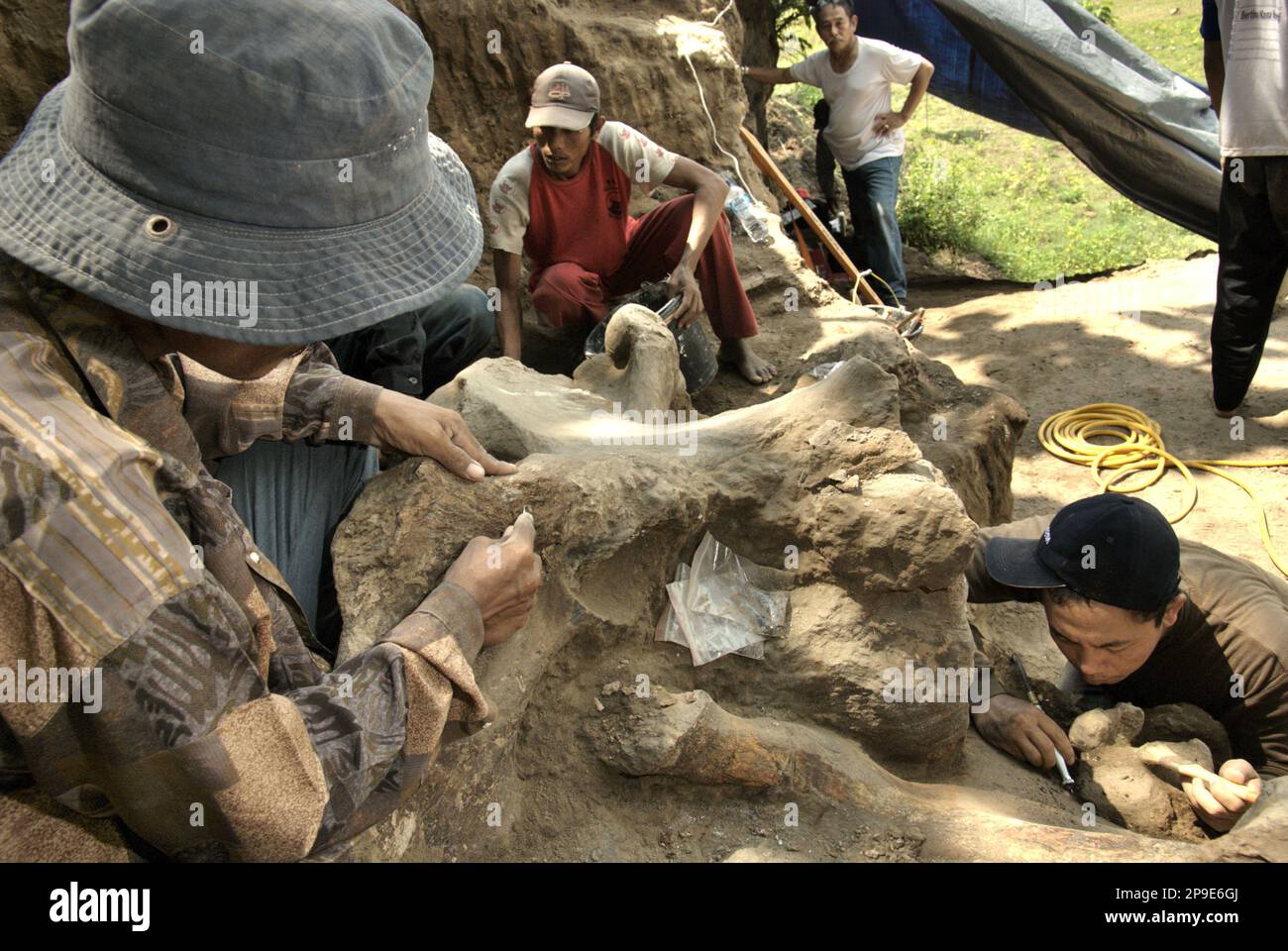Paleontologists and villagers are working on the excavation of ...