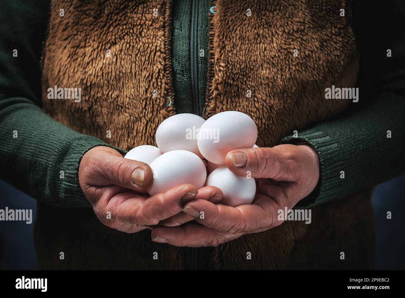 Bio farm egg hi-res stock photography and images - Alamy