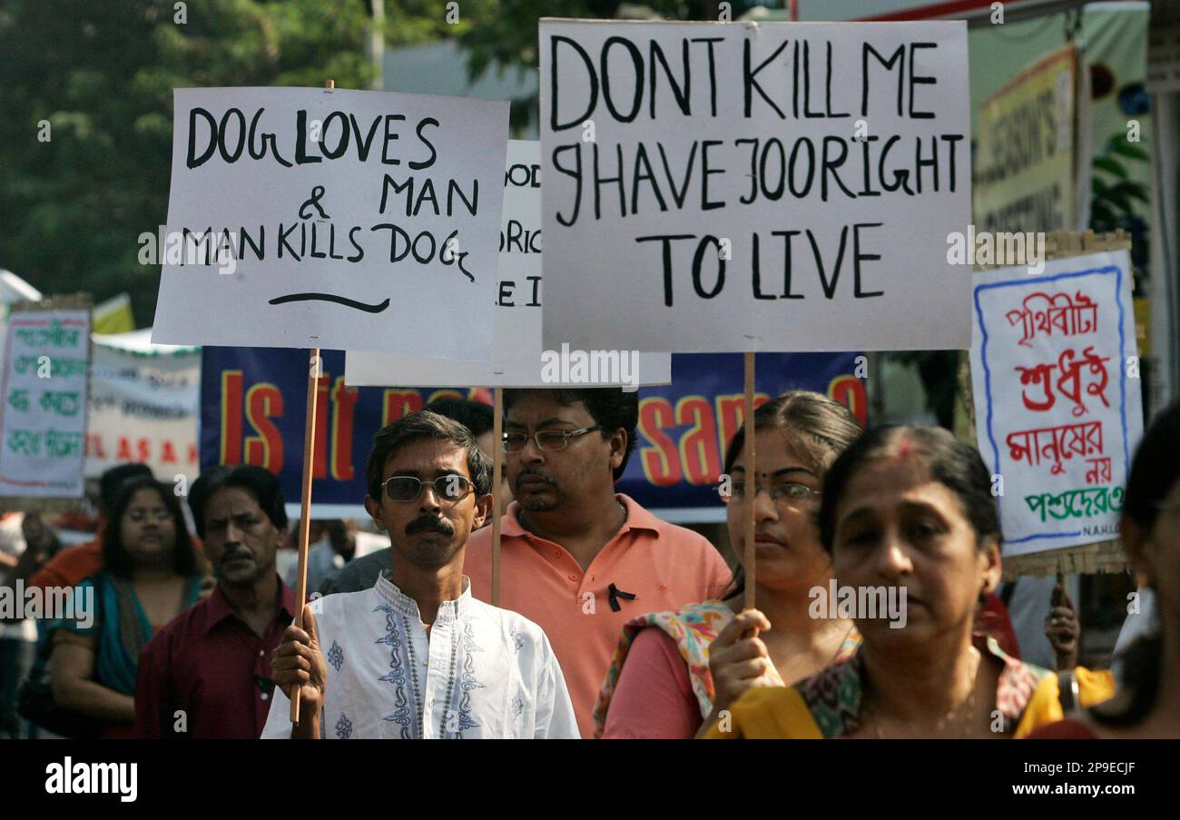 Animal rights activists hold posters during a rally demanding to reduce ...