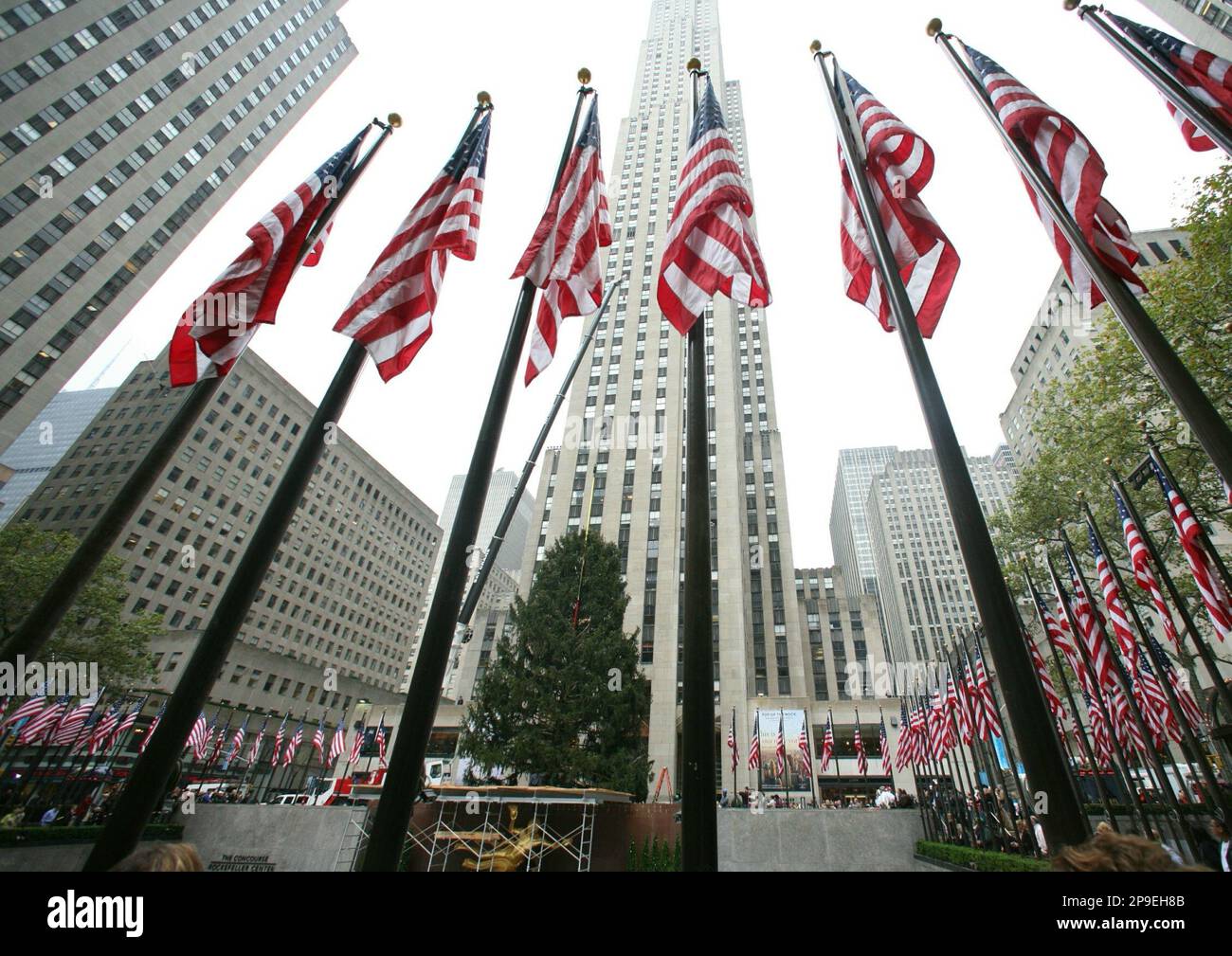 The 72-foot tall Rockefeller Center Christmas tree, center, is raised ...