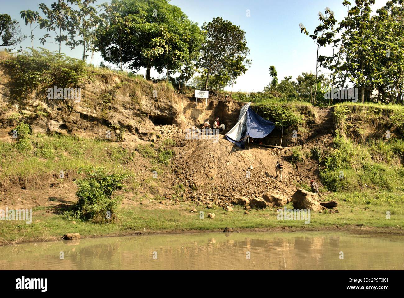 The excavation site of fossilized bones of an extinct elephant species ...