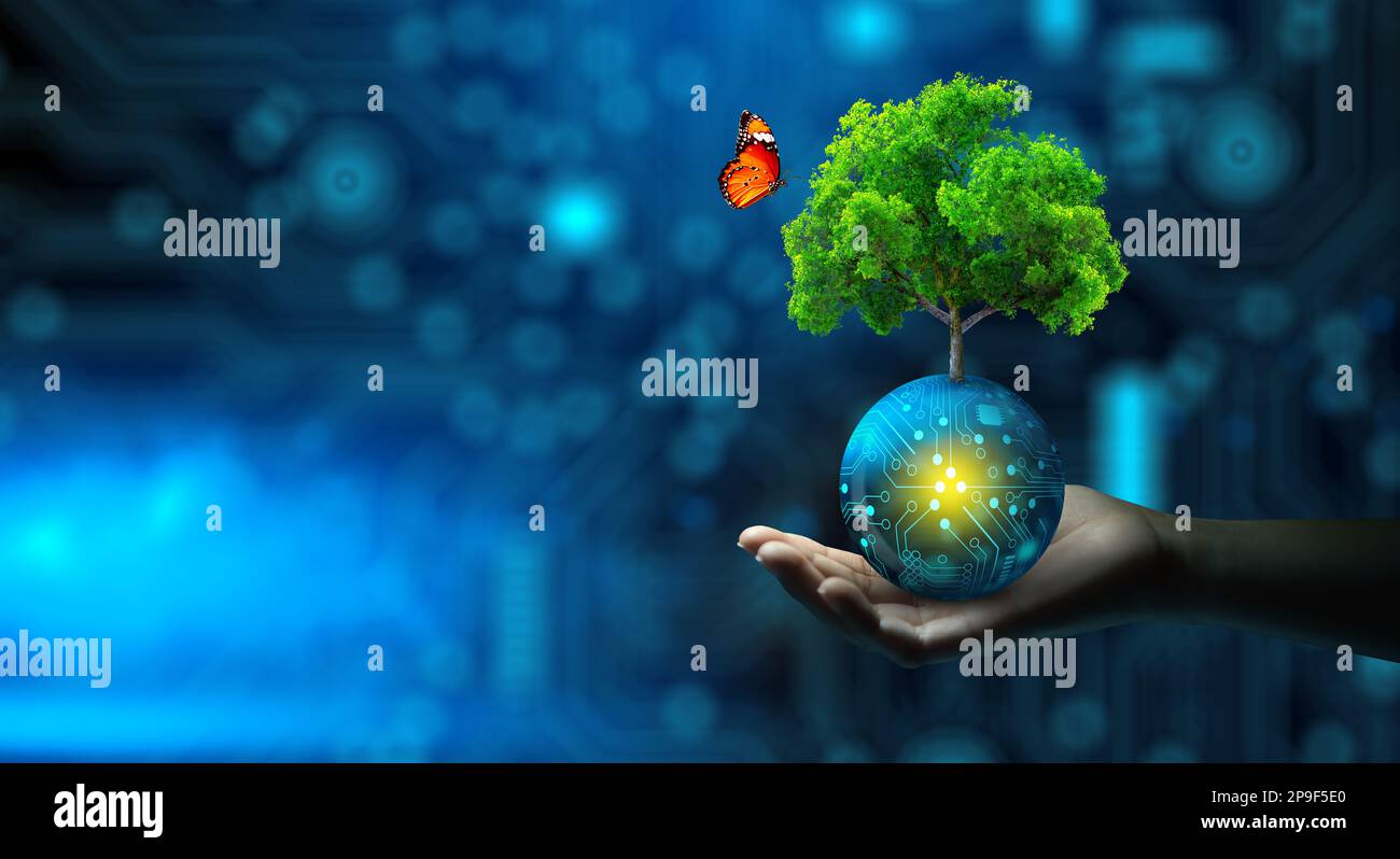 Man hand holding Tree on digital ball with technological convergence ...