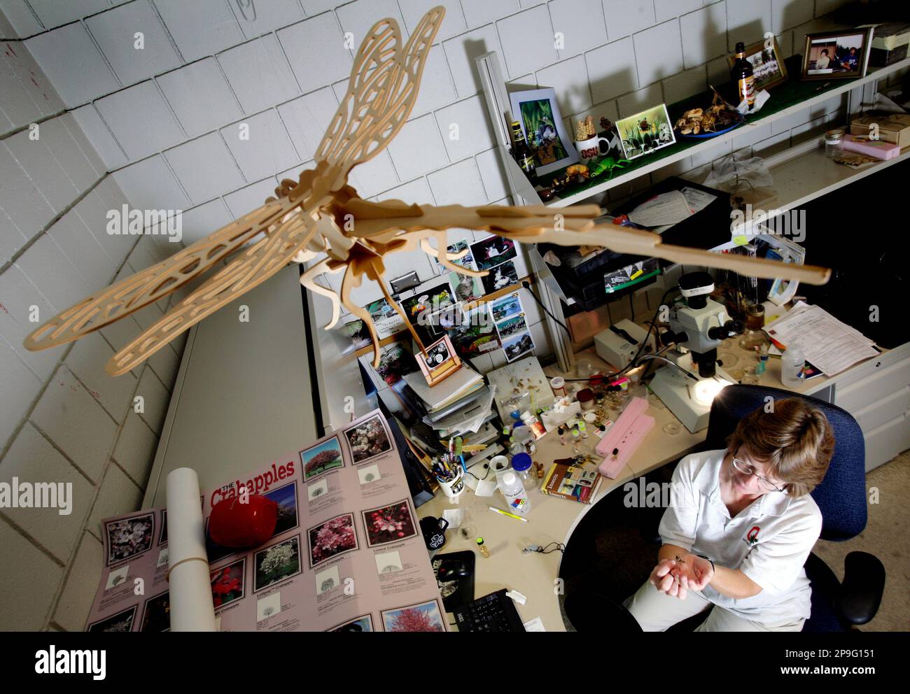 **ADVANCE FOR MONDAY NOV. 3**Barbara Bloetscher a entomlogy ...