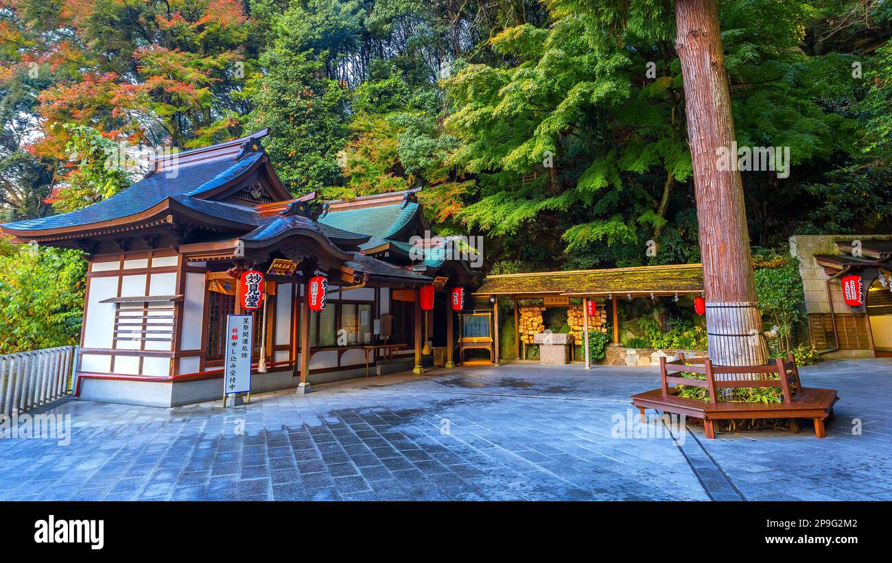 Fukuoka, Japan - Nov 21 2022: Nanzoin Temple in Fukuoka is home to a ...