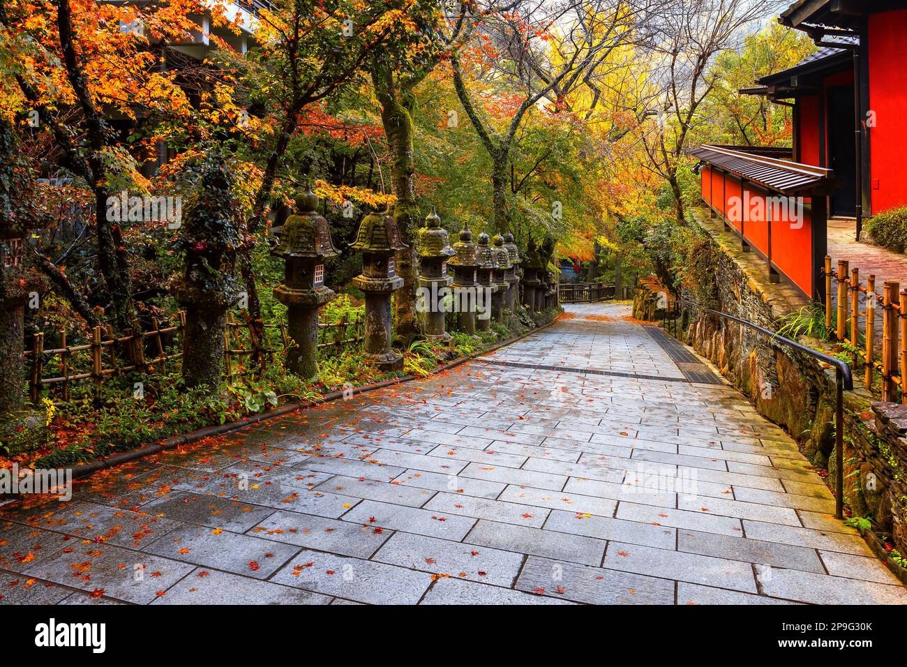 Fukuoka, Japan - Nov 21 2022: Nanzoin Temple in Fukuoka is home to a ...