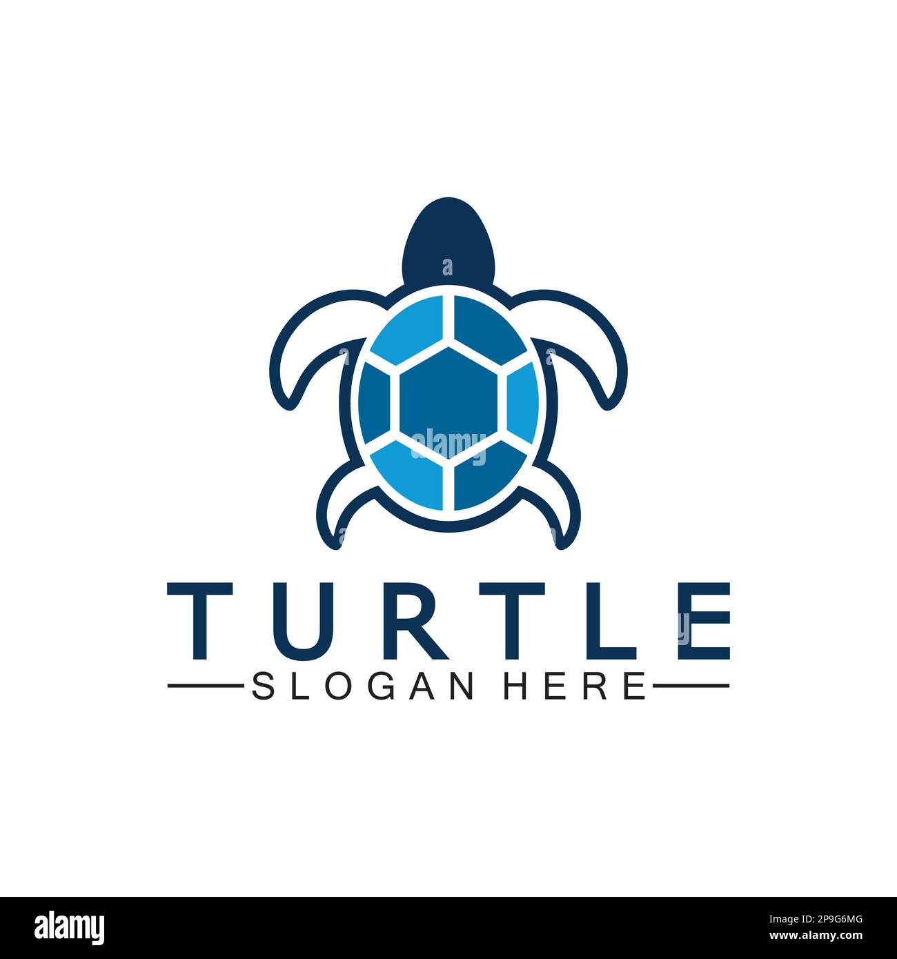 Turtle icon, Sea turtle vector illustration, Logo for buttons, websites ...