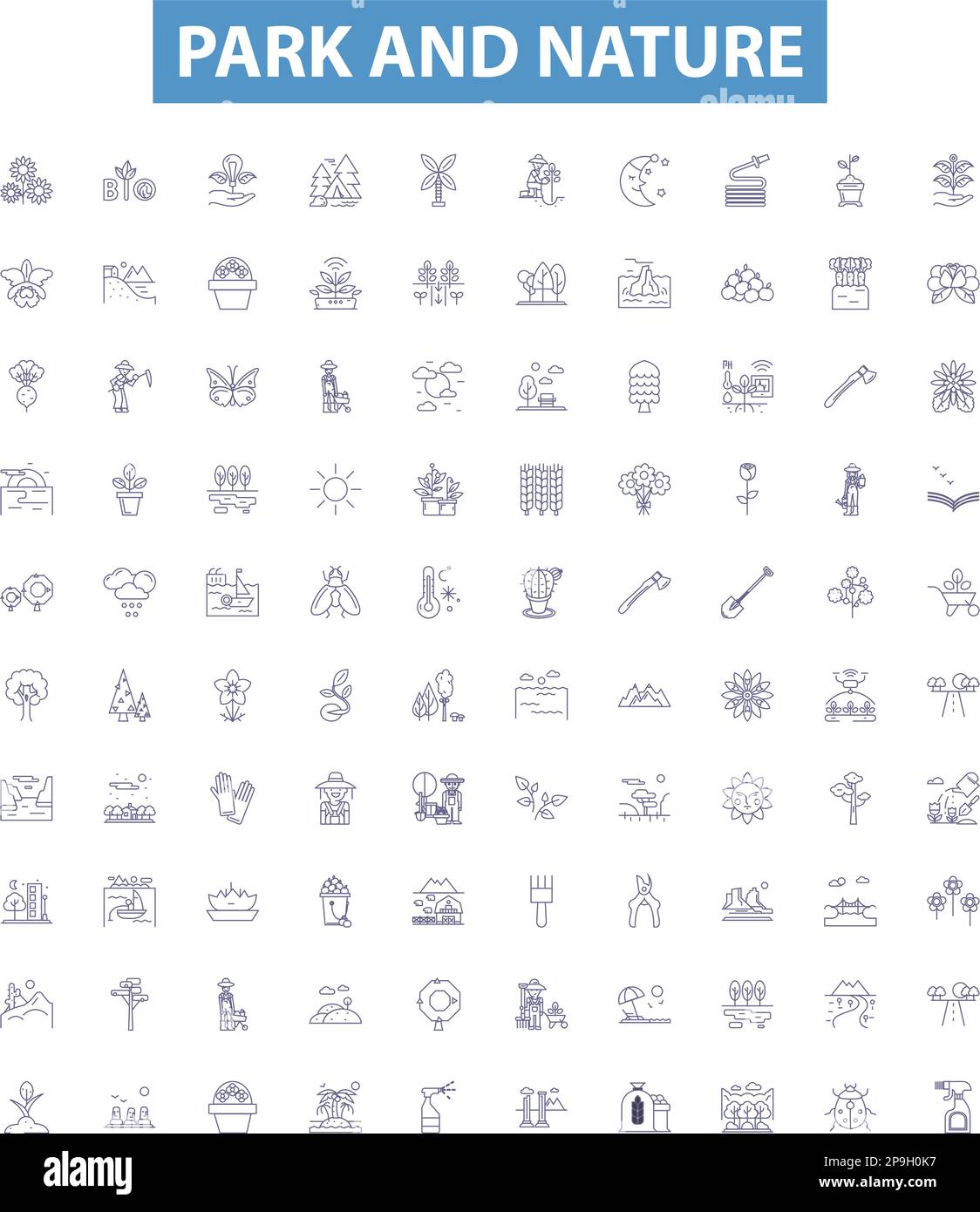 Bushland plants Cut Out Stock Images & Pictures - Alamy