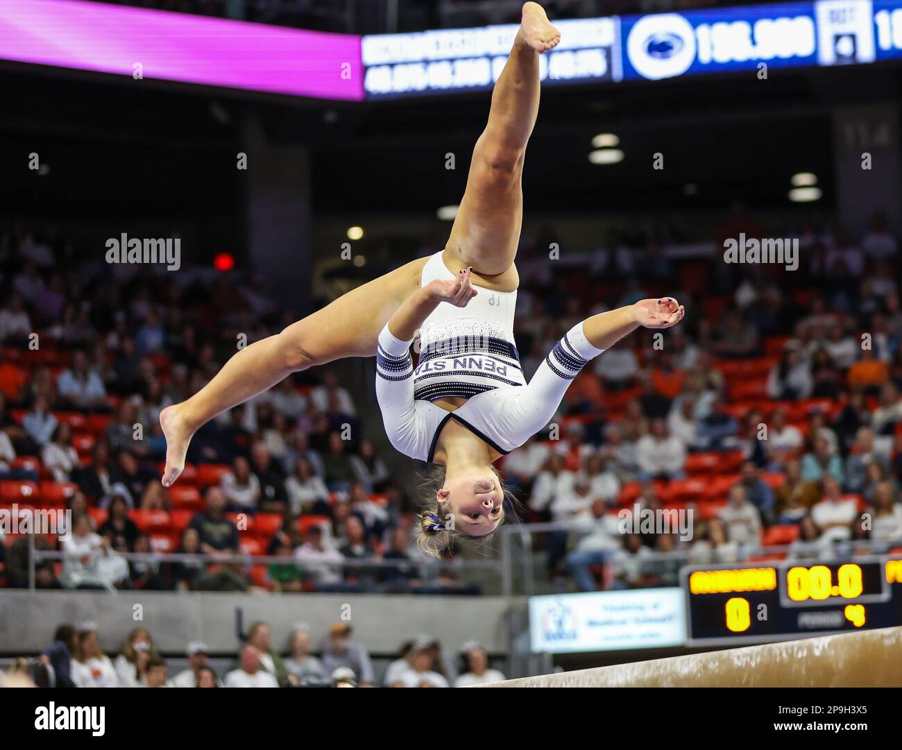 Maddie johnson hi-res stock photography and images - Alamy