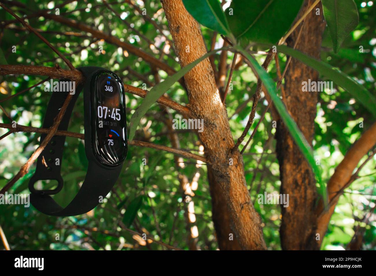 Concept for outdoor and adventure. After some edits, a photo of a ...