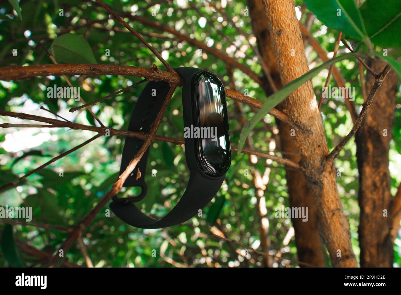 Concept for outdoor and adventure. After some edits, a photo of a ...