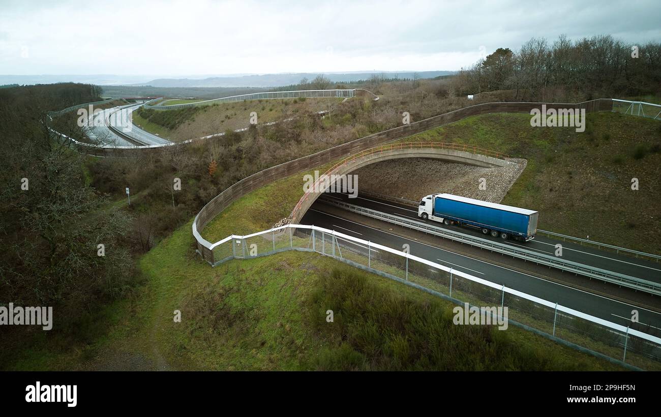 Bernkastel Kues, Germany. 10th Mar, 2023. A wildlife bridge allows ...