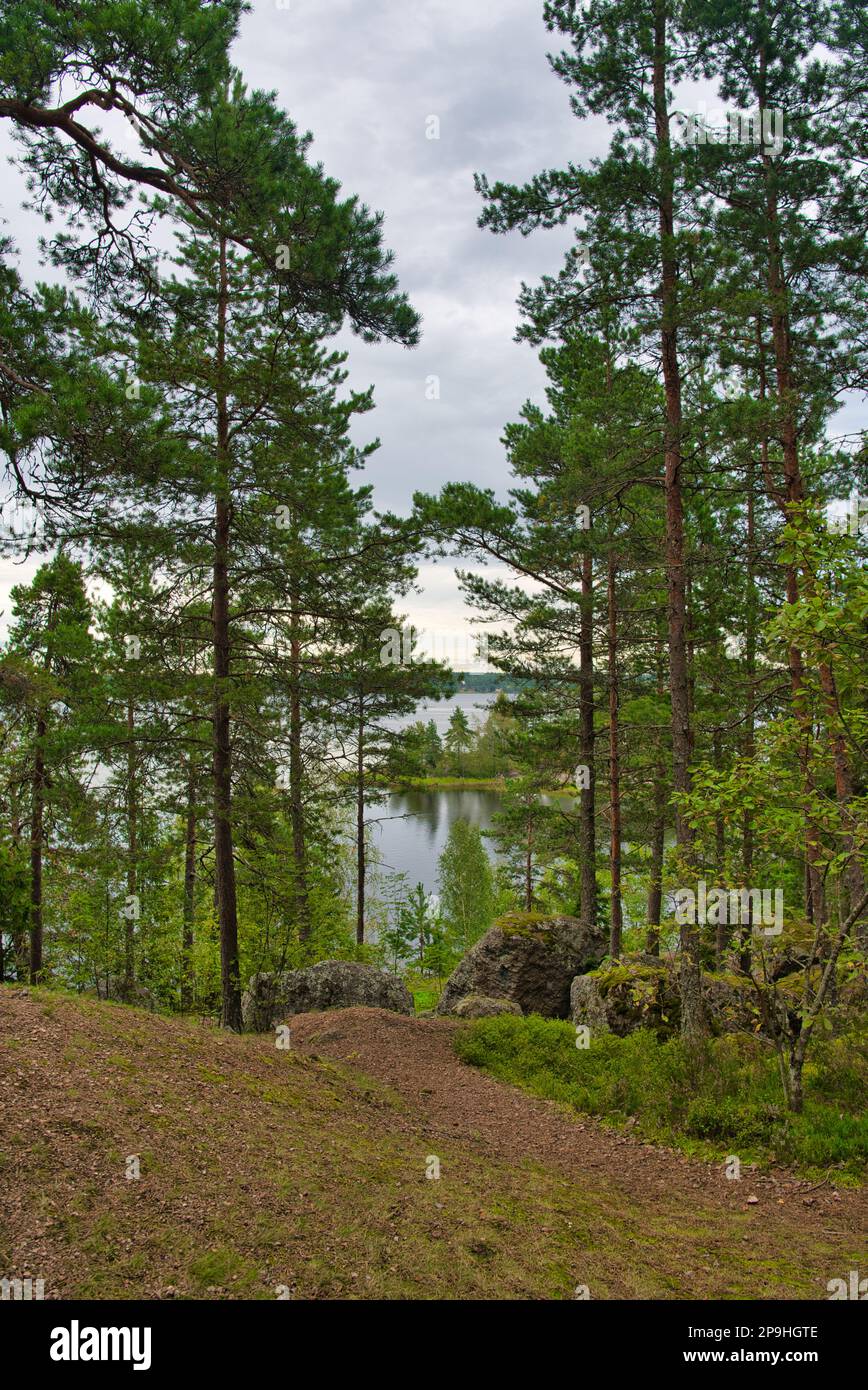 Vyborg lake forest hi-res stock photography and images - Alamy