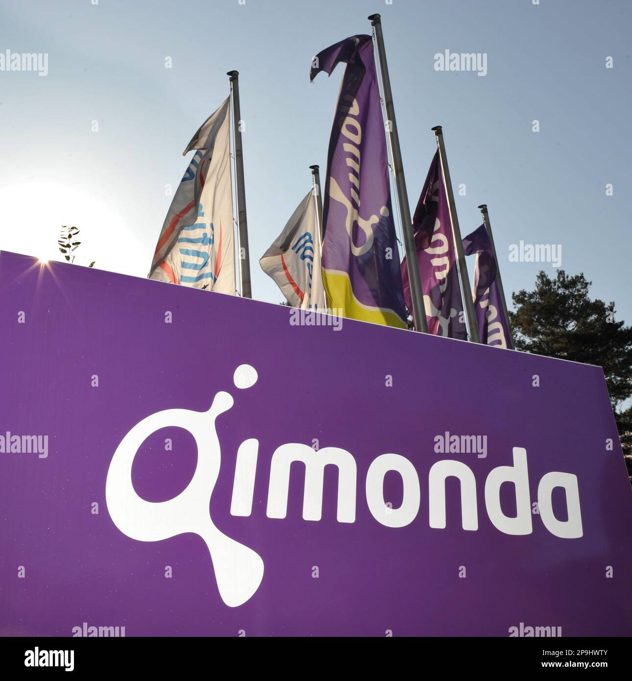 The company`s logo of Qimonda is seen in Dresden, Germany, Monday,Oct ...