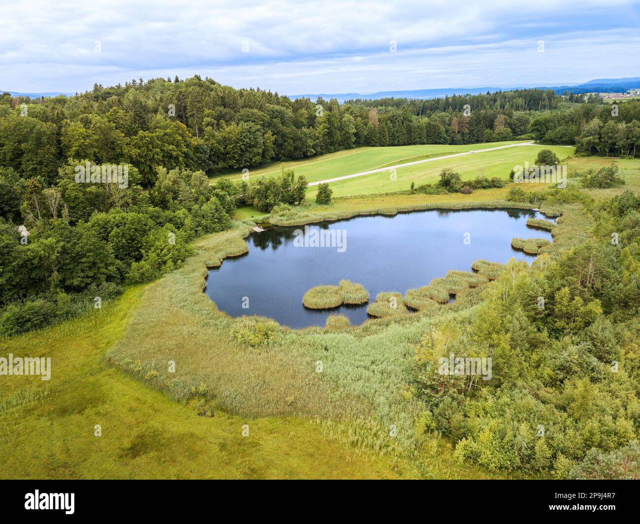 Aerial image of a pond with floating turf mats, which were cut of from ...