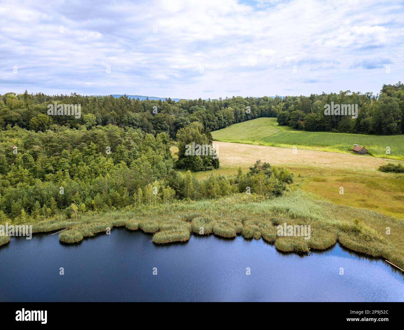 Aerial image of a pond with floating turf mats, which were cut of from ...