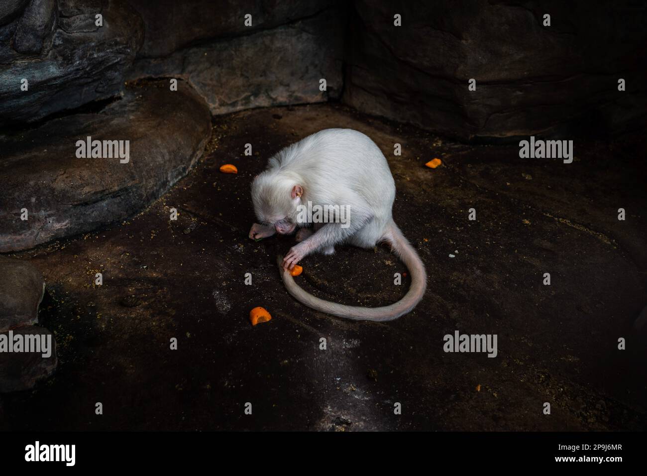 Cramped living usa hi-res stock photography and images - Alamy