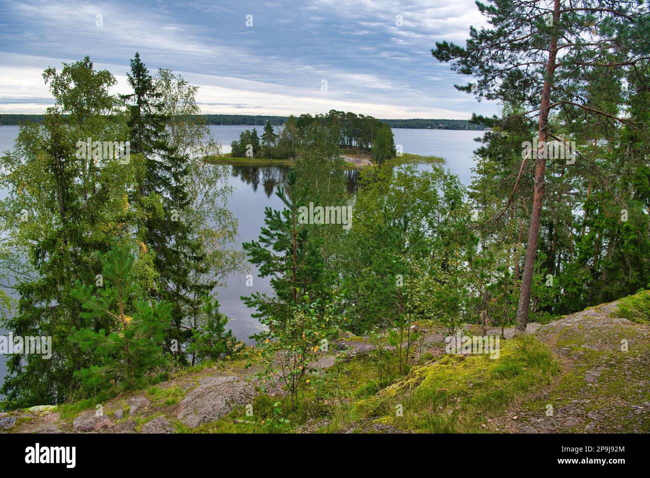 Beautiful blue lake and pine forest, Park Mon Repos, Vyborg, Russia ...