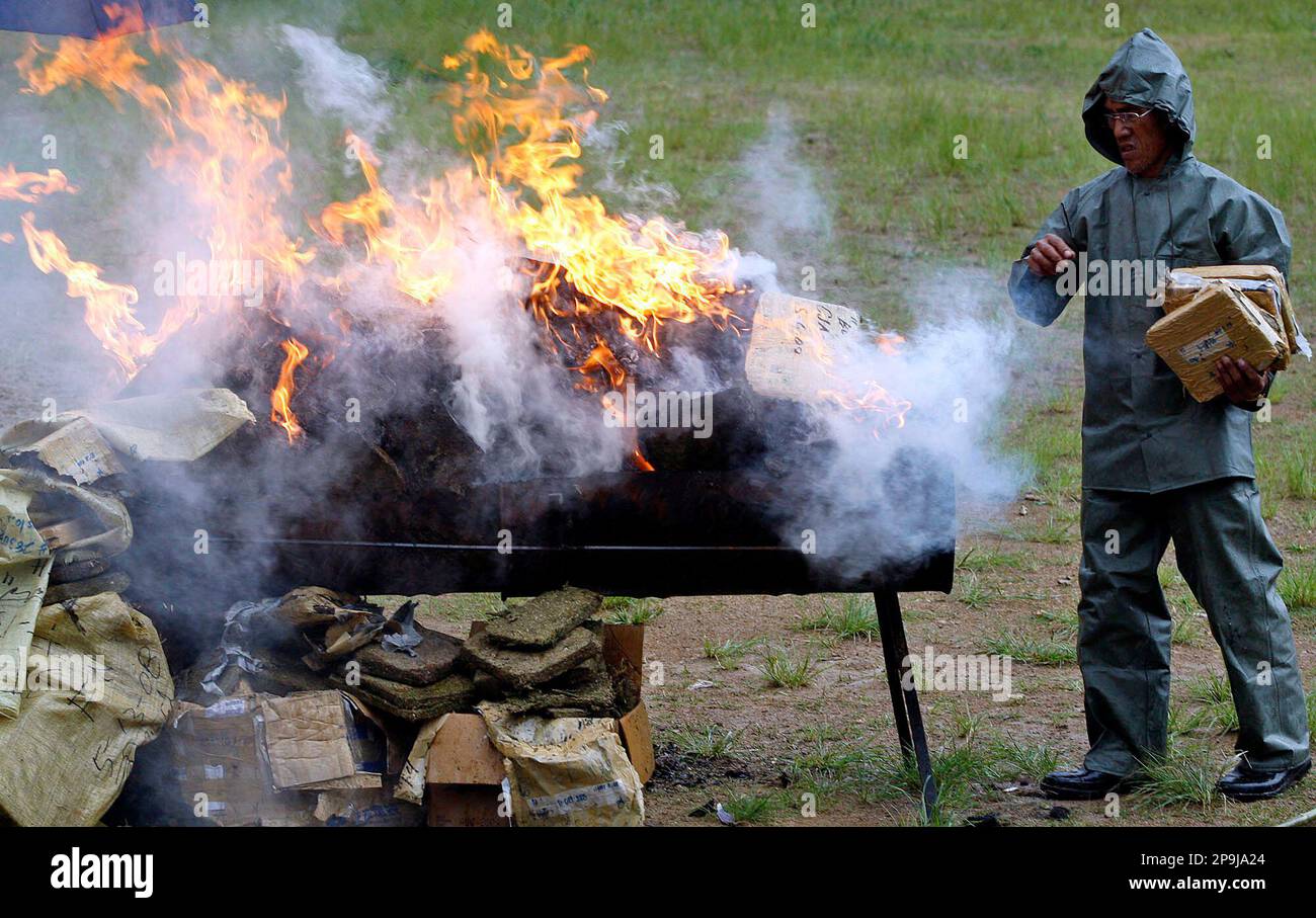 A Philippine Drug Enforcement agent tosses into the fire, bricks of ...