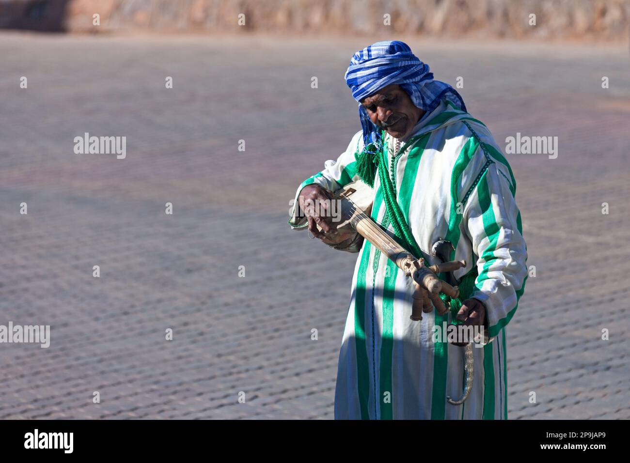 Lute family hi-res stock photography and images - Alamy