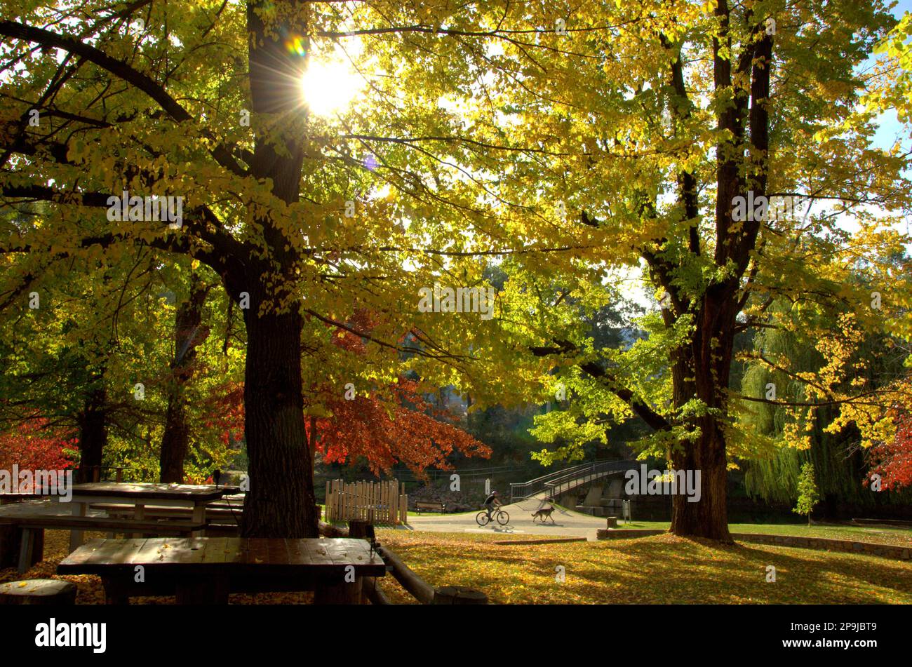 Bright victoria australia hi-res stock photography and images - Alamy