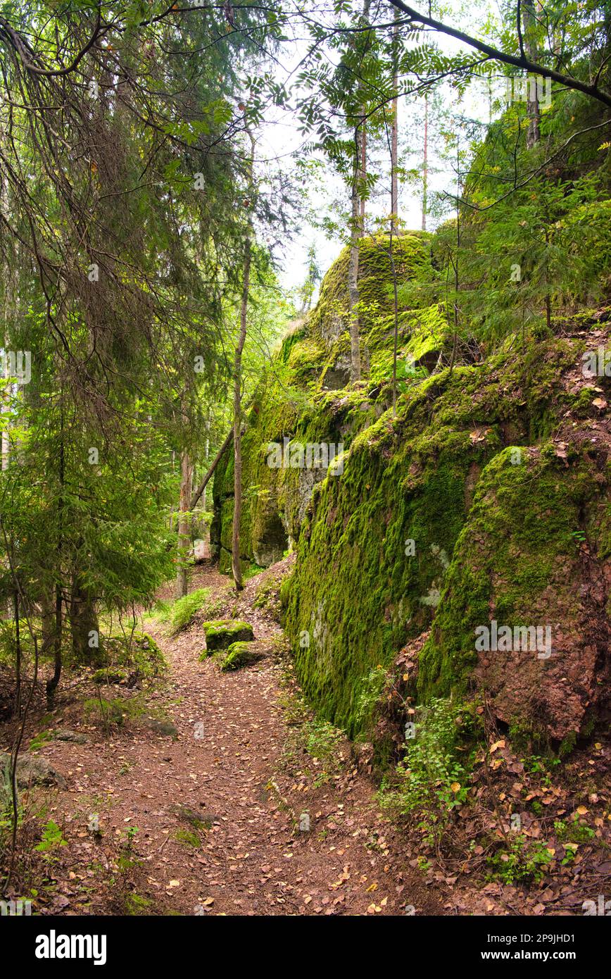 Rocks cliffs covered with moss among trees in the forest, Park Mon ...