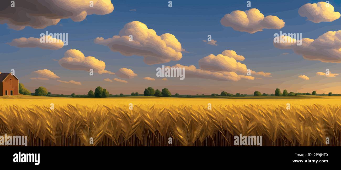 Large wheat thorns on a field on a beautiful nature and landscape in the sun. Extended rich ...