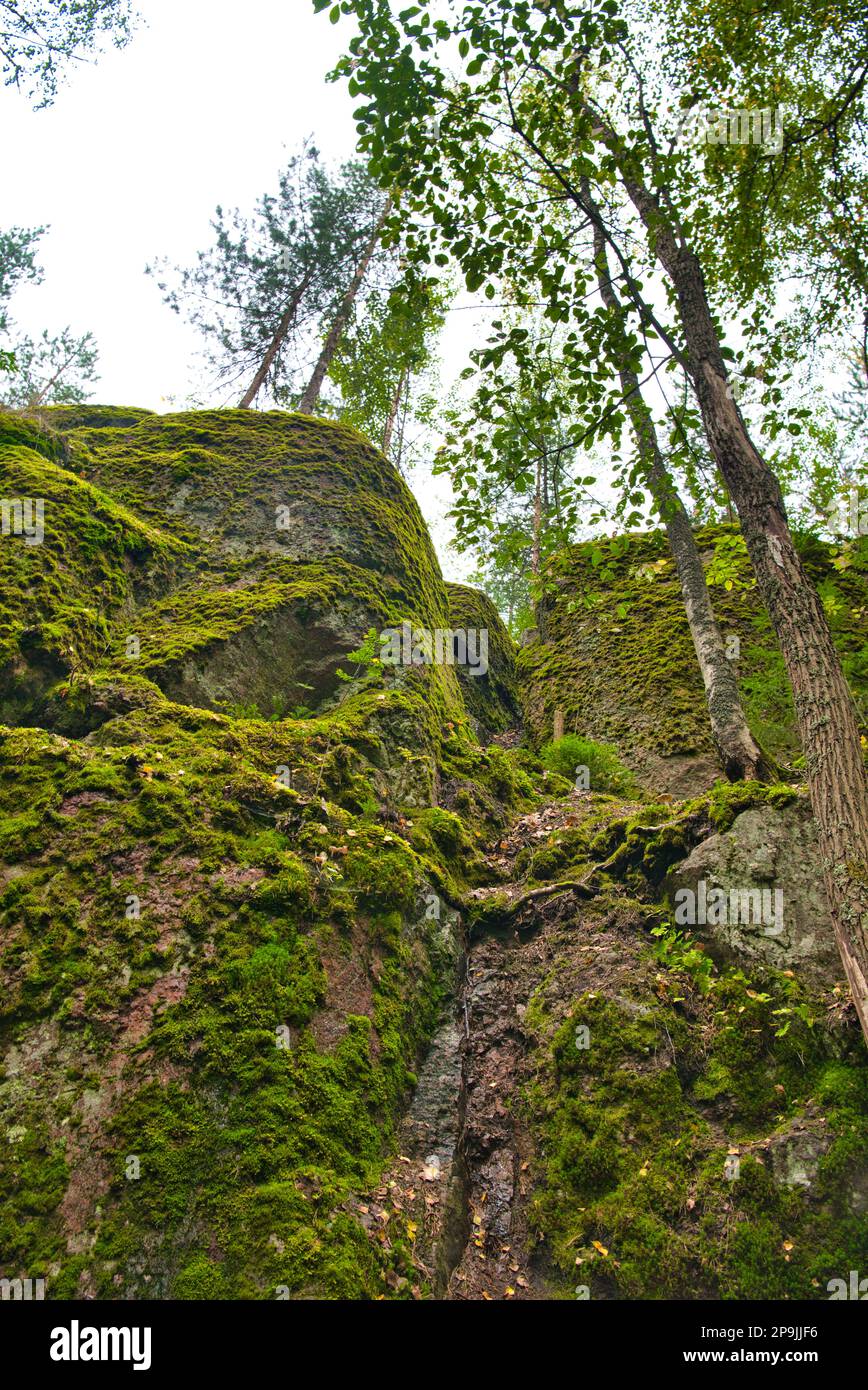 Rocks cliffs covered with moss among trees in the forest, Park Mon ...