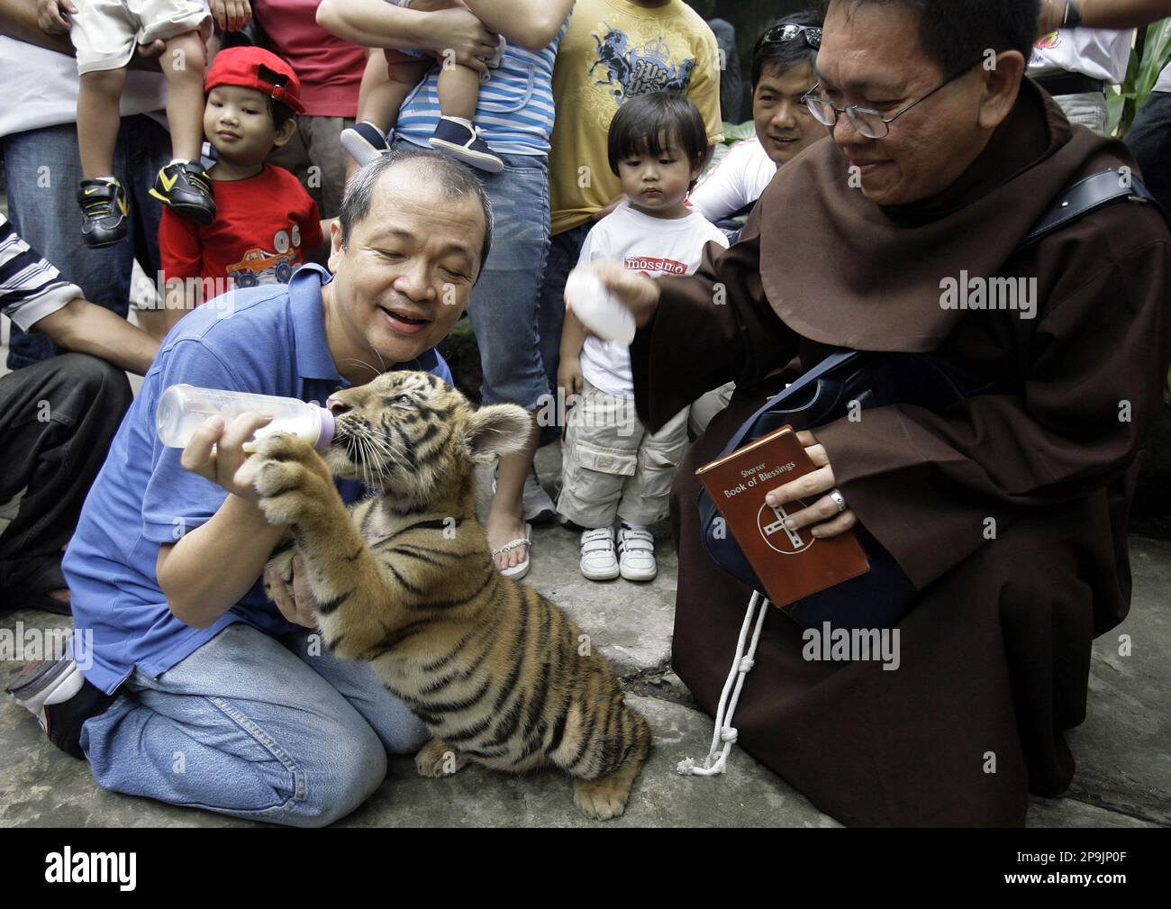 A Filipino Catholic priest sprinkles holy water on a baby Bengal Tiger ...