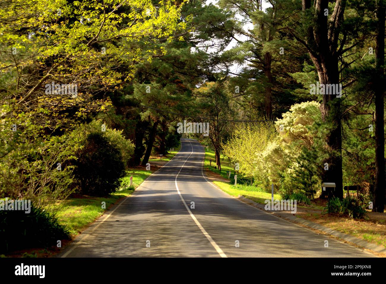 Mornington peninsula red hill hi-res stock photography and images - Alamy