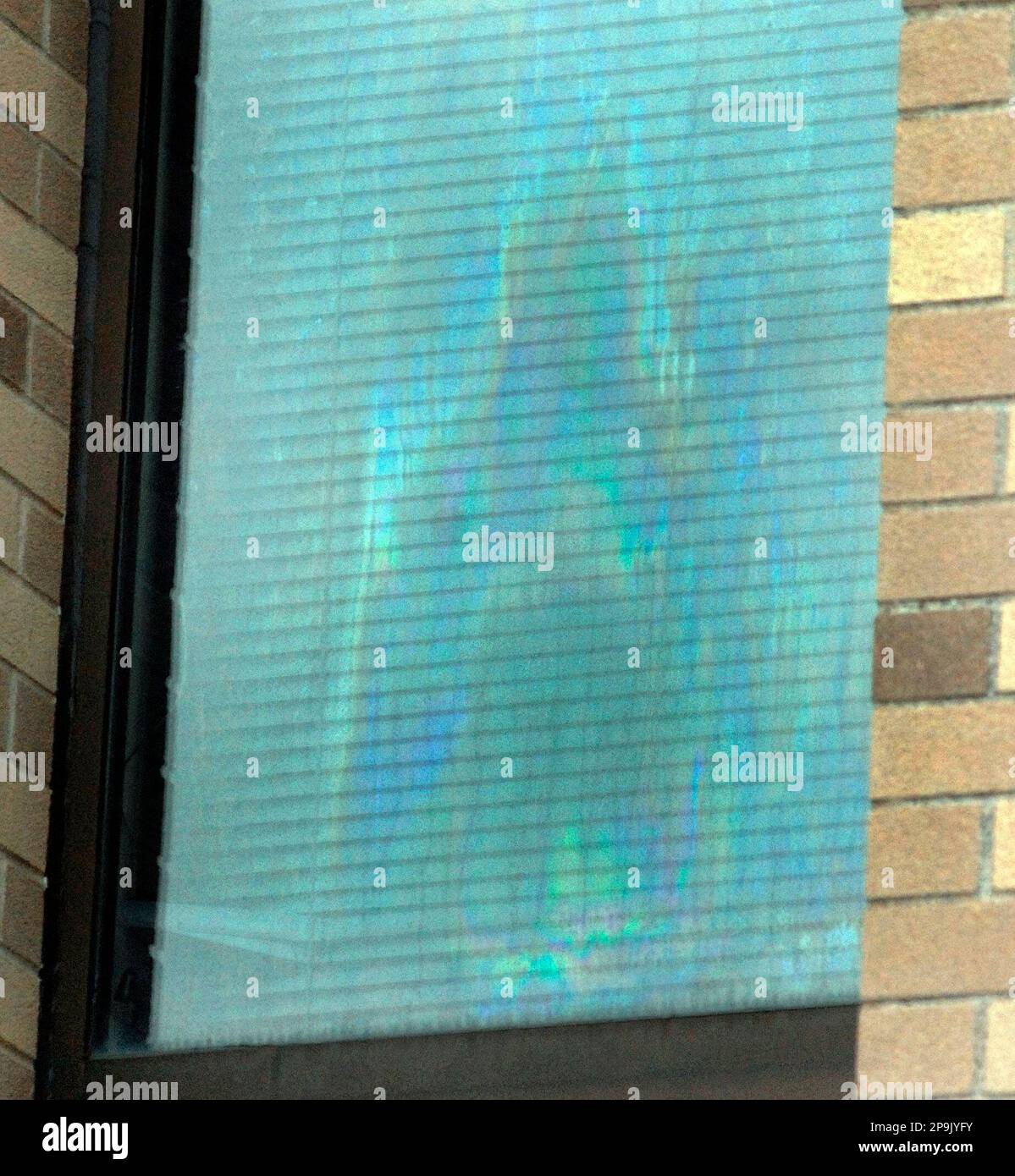 An image that some say looks like the Virgin Mary is visible in a ...