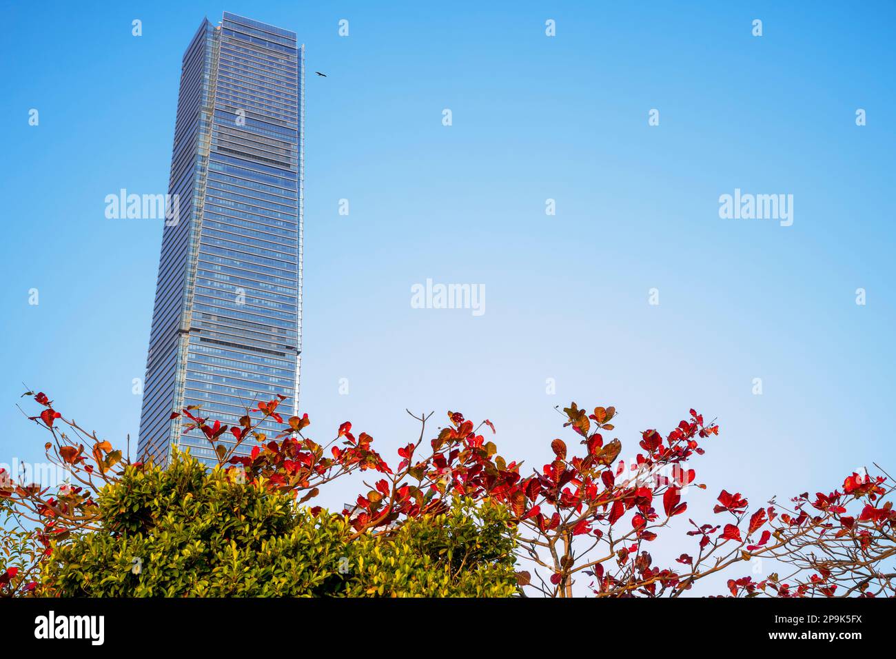 Hong Kong tallest building the International Commerce Center ICC, Hong ...