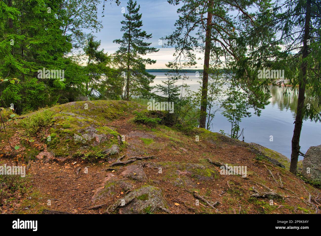 Vyborg lake forest hi-res stock photography and images - Alamy