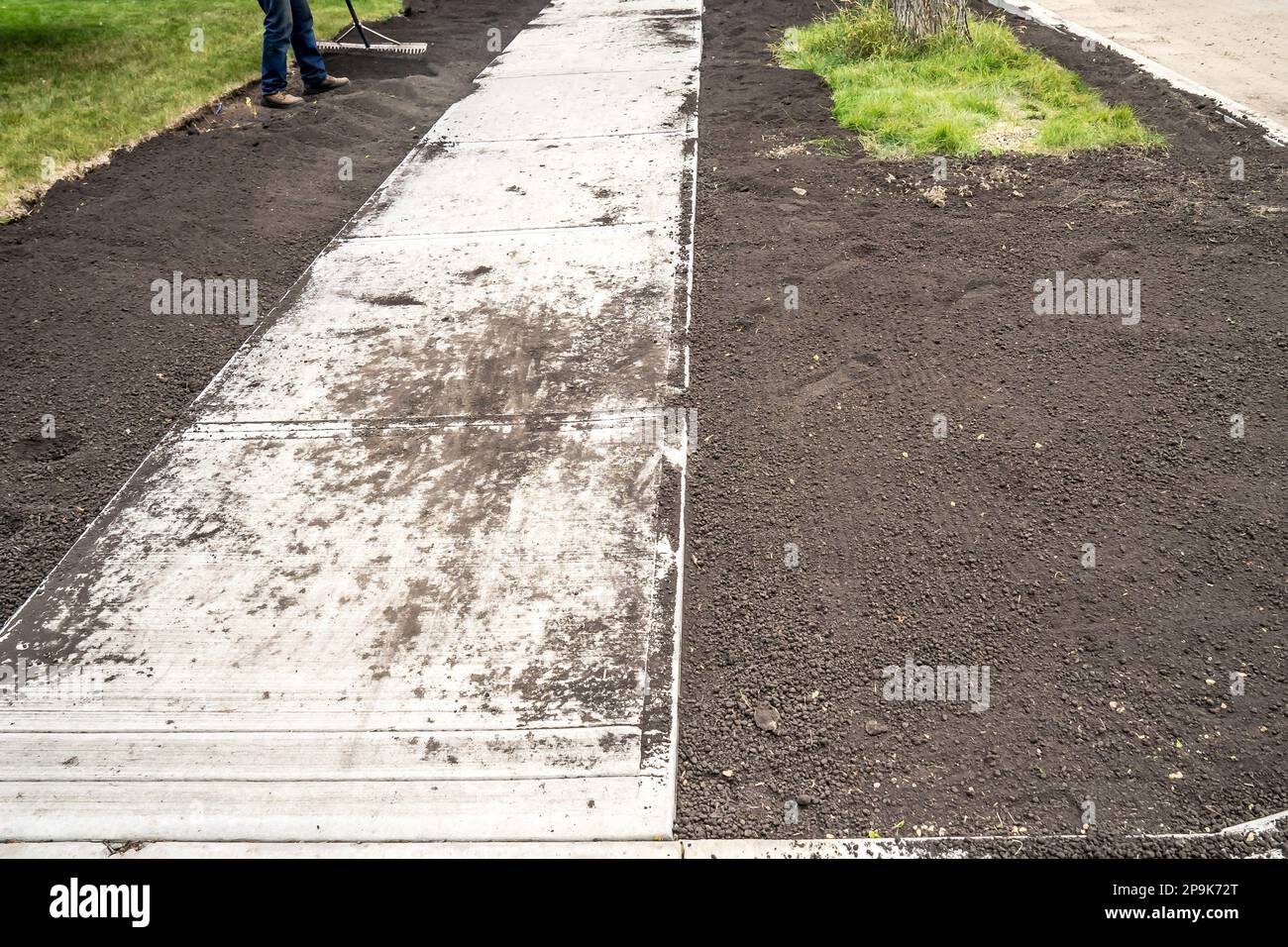 Landscaping work with top soil raking at sidewalk renovation ...