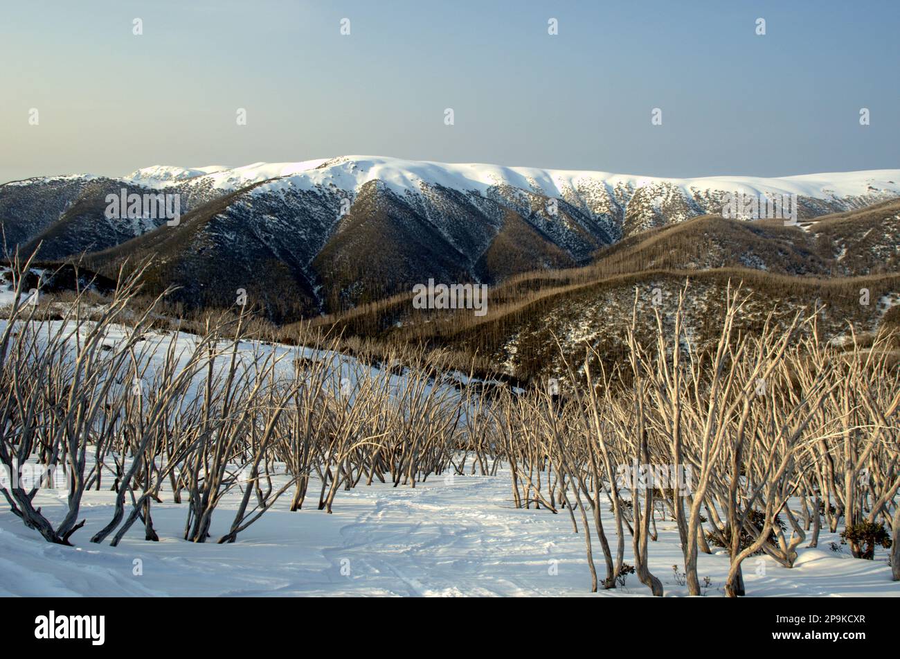 Victorian alps australia hi-res stock photography and images - Alamy