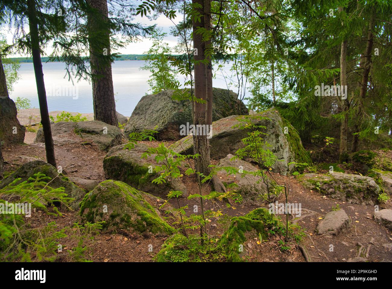 Huge boulders stones in pine forest near fresh blue lake, Park Mon ...