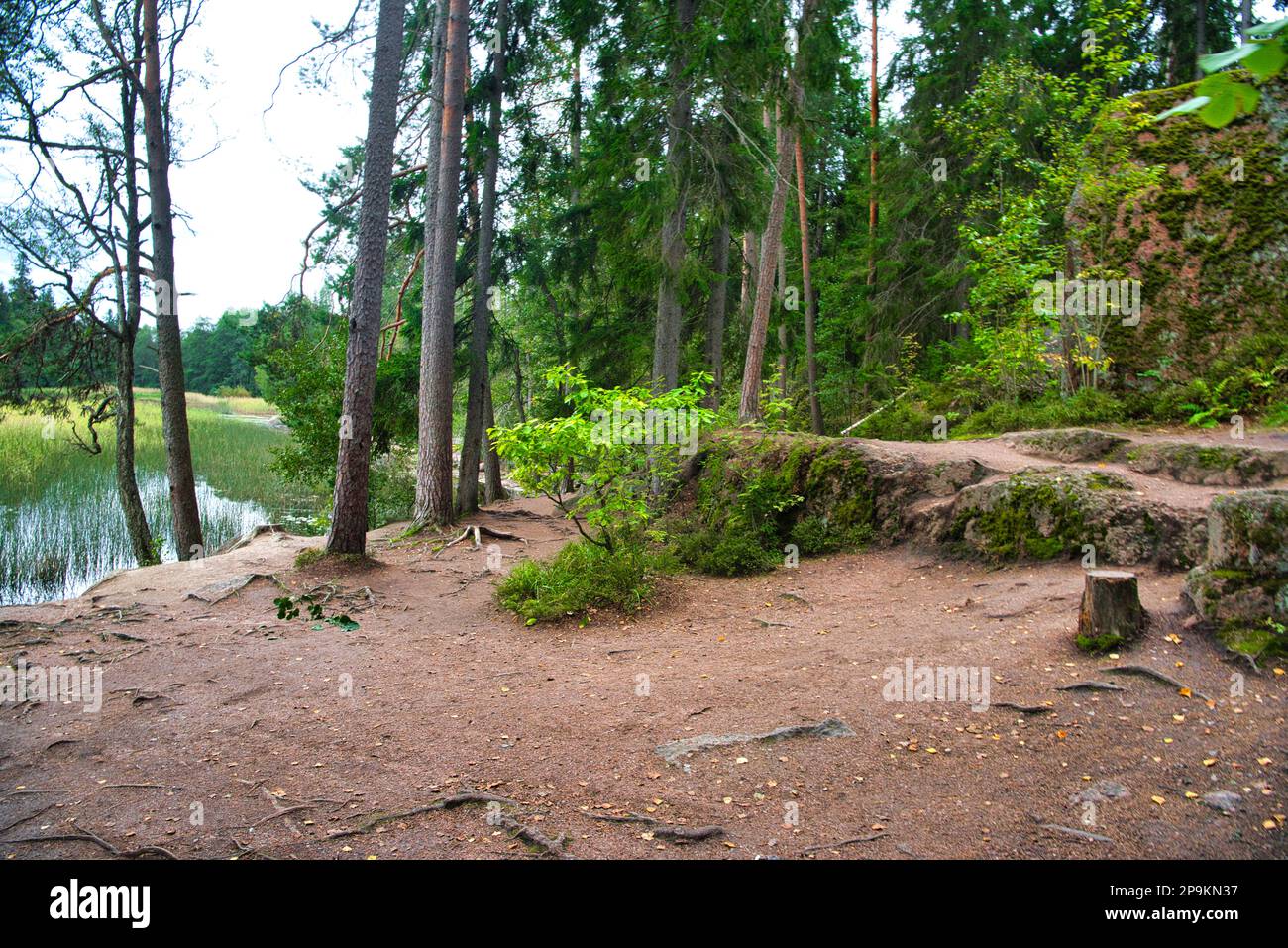 Vyborg lake forest hi-res stock photography and images - Alamy