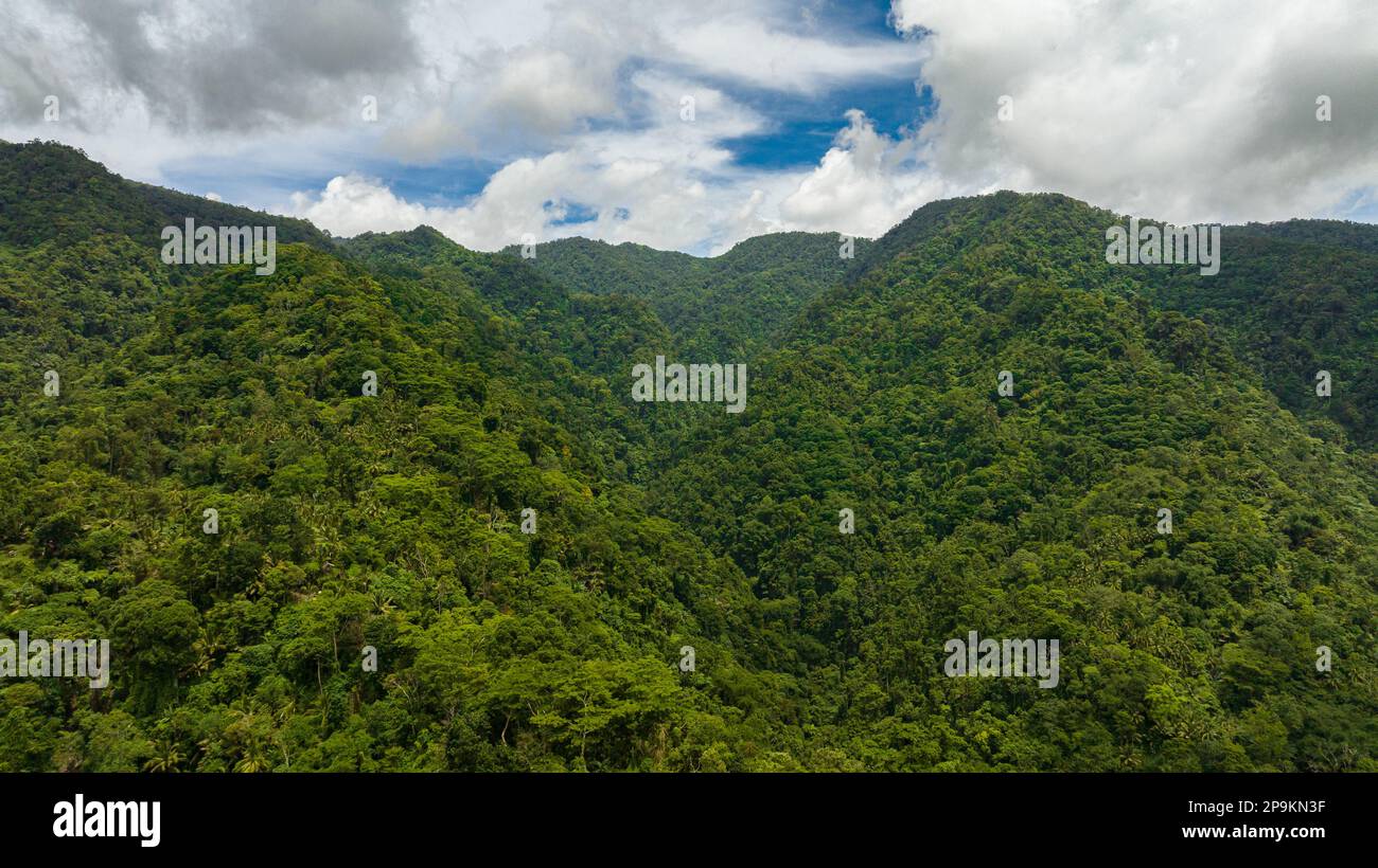 Aerial drone of mountain range and mountain slopes with rainforest ...