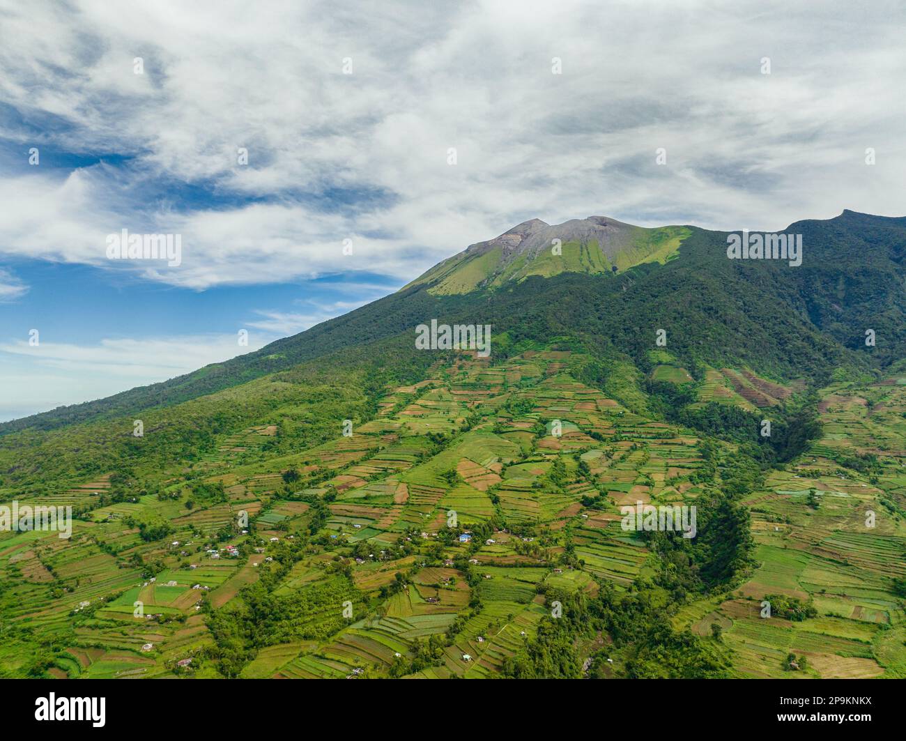 Aerial drone of farmland with plantings against a background of ...