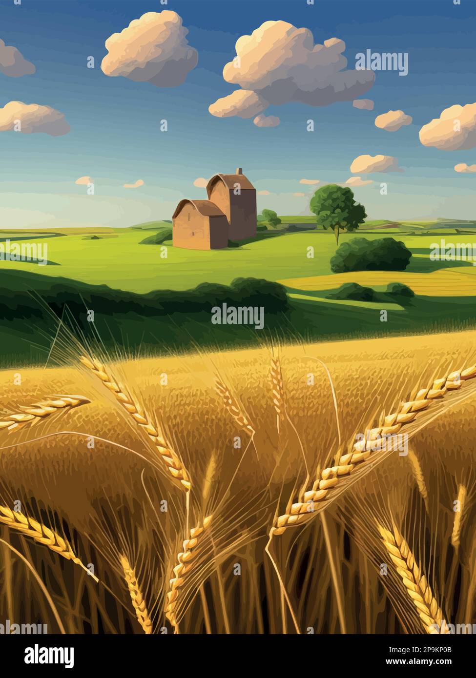 Cornfield in summer Stock Vector Images - Alamy