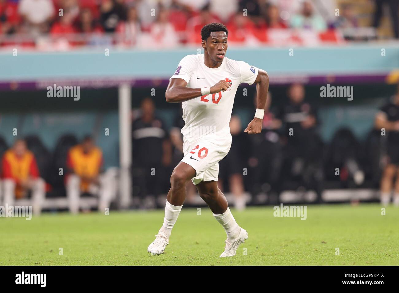Jonathan David of Canada in action during the FIFA World Cup Qatar 2022 ...