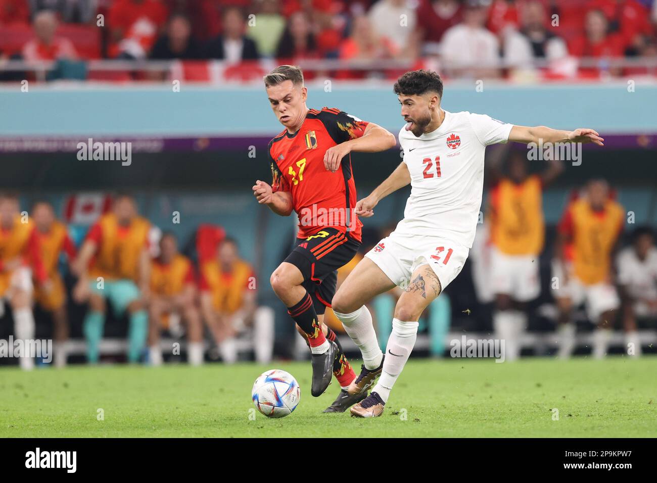 Leandro Trossard of Belgium (L) and Jonathan Osorio of Canada (R) in ...