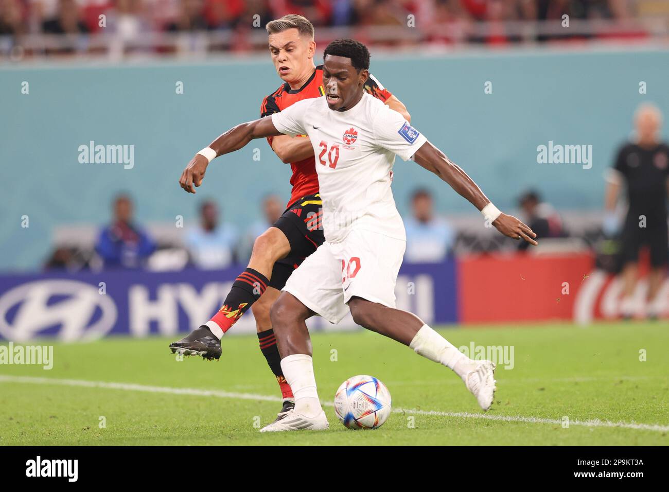 Ar Rayyan, Qatar. 23rd Nov, 2022. Leandro Trossard of Belgium (L) and ...