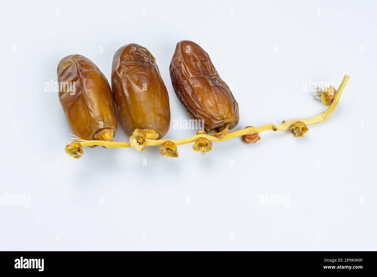 Close-up of Algerian royal dates on a white background. Ramadan concept ...