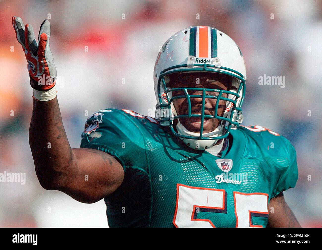 Joey Porter Dolphins