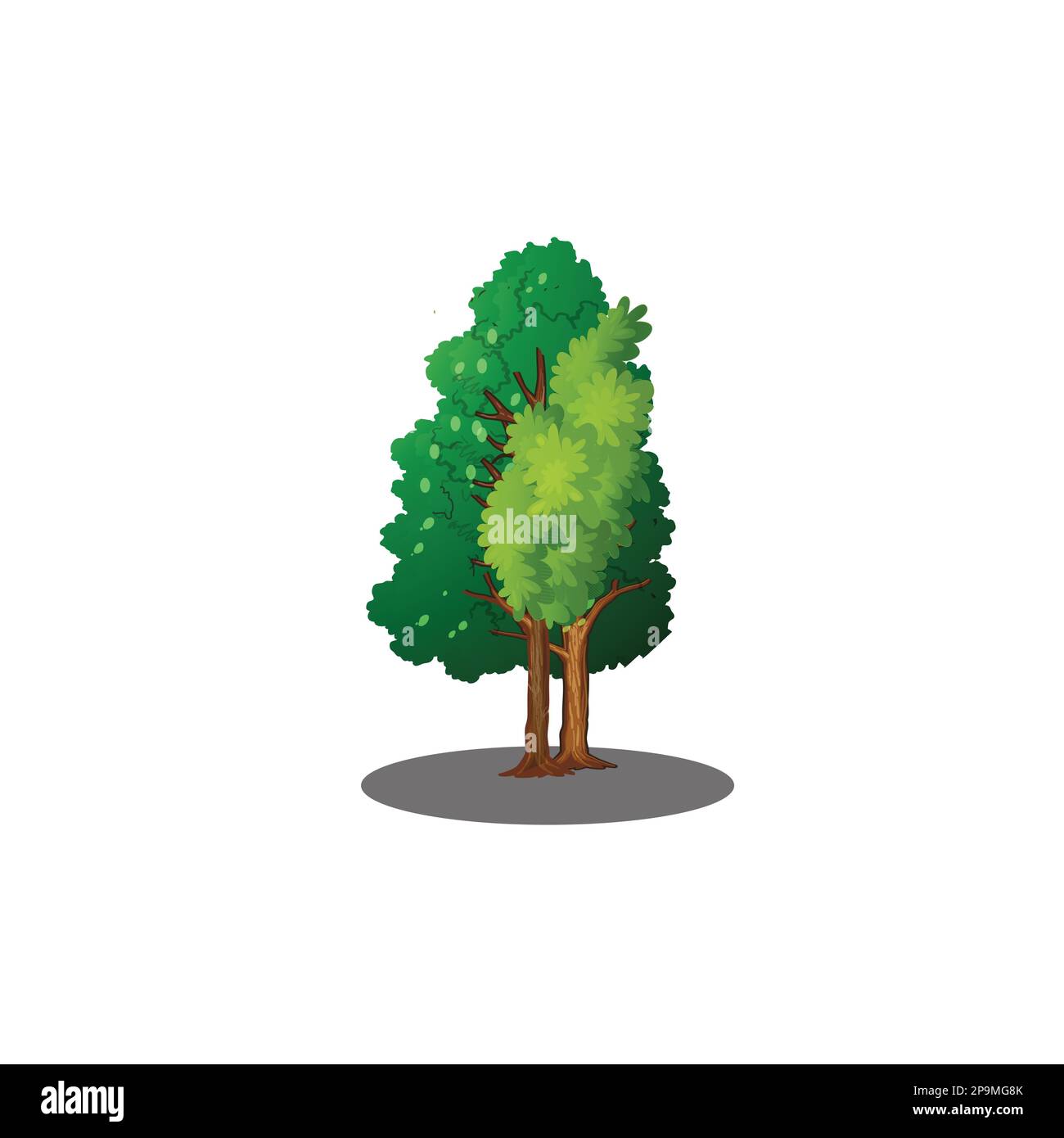 Realistic Trees Isolated on White Background Stock Vector Image & Art ...