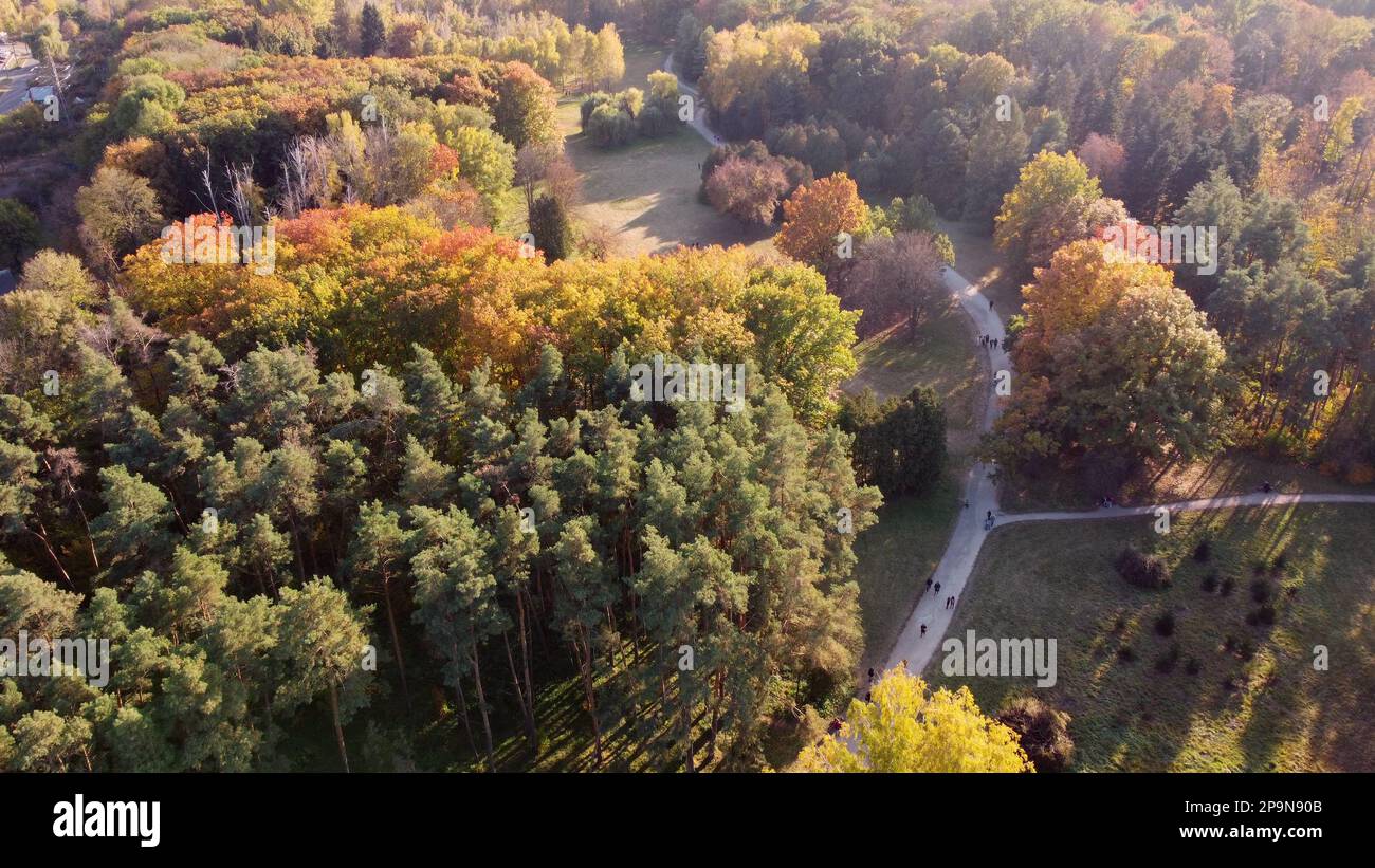 Aerial view forest pathway hi-res stock photography and images - Alamy