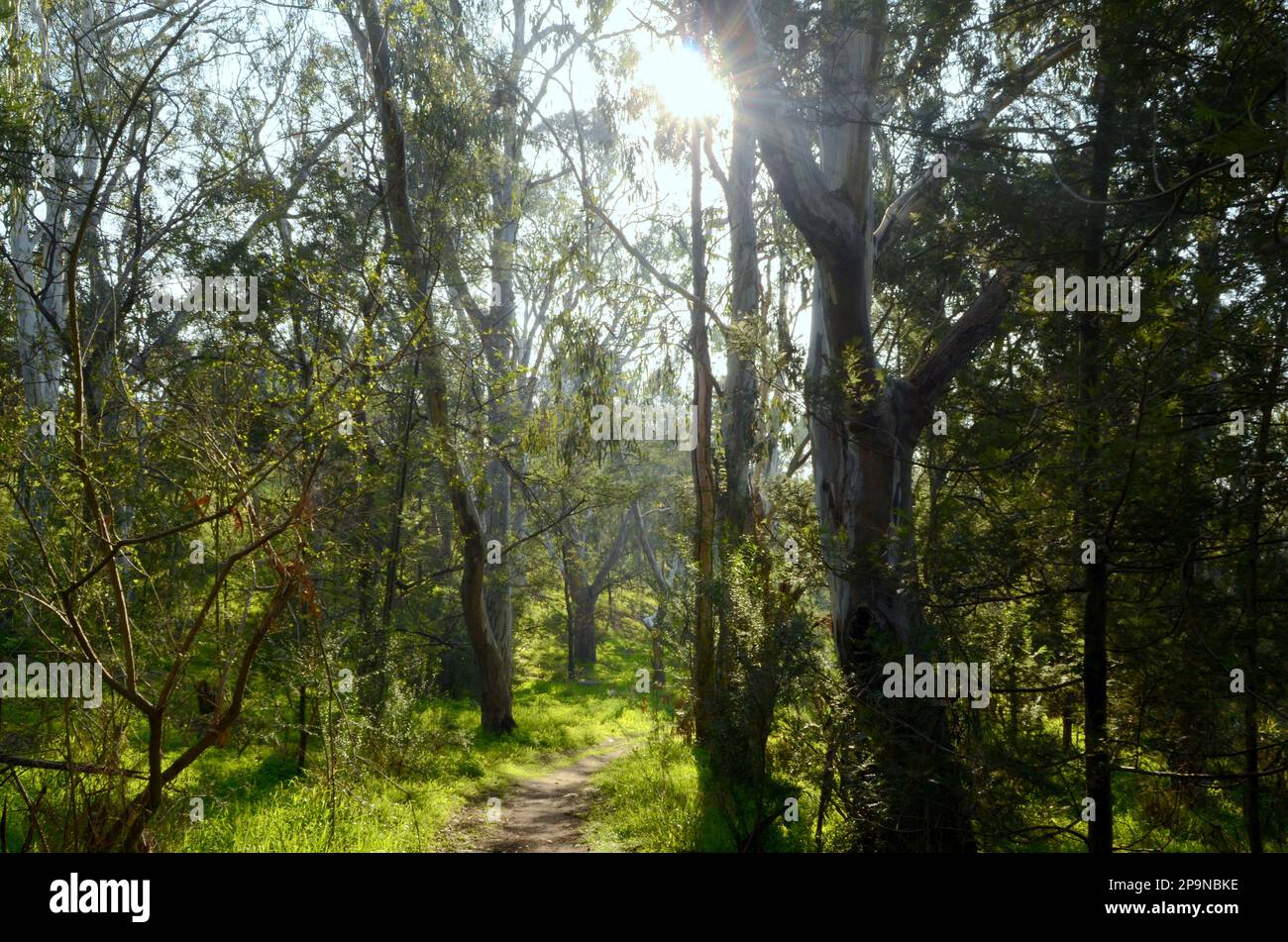 Victorian landscape australia hi-res stock photography and images - Alamy