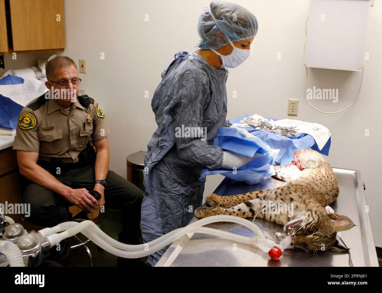 Dr. Anne Remmers, Veterinarian and Des Moines County Wildlife ...