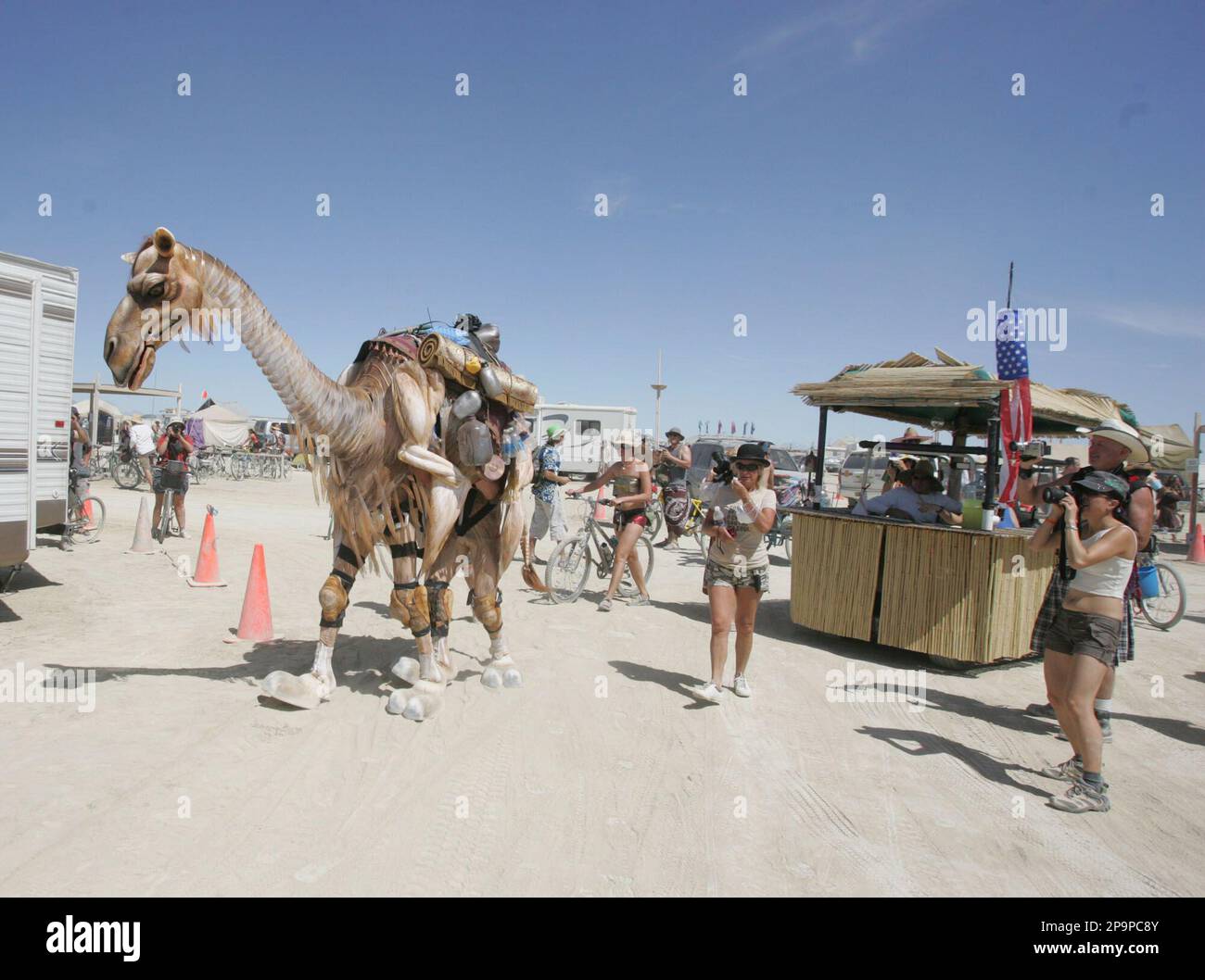 A camel powered by two men travels across the playa at the Black Rock ...